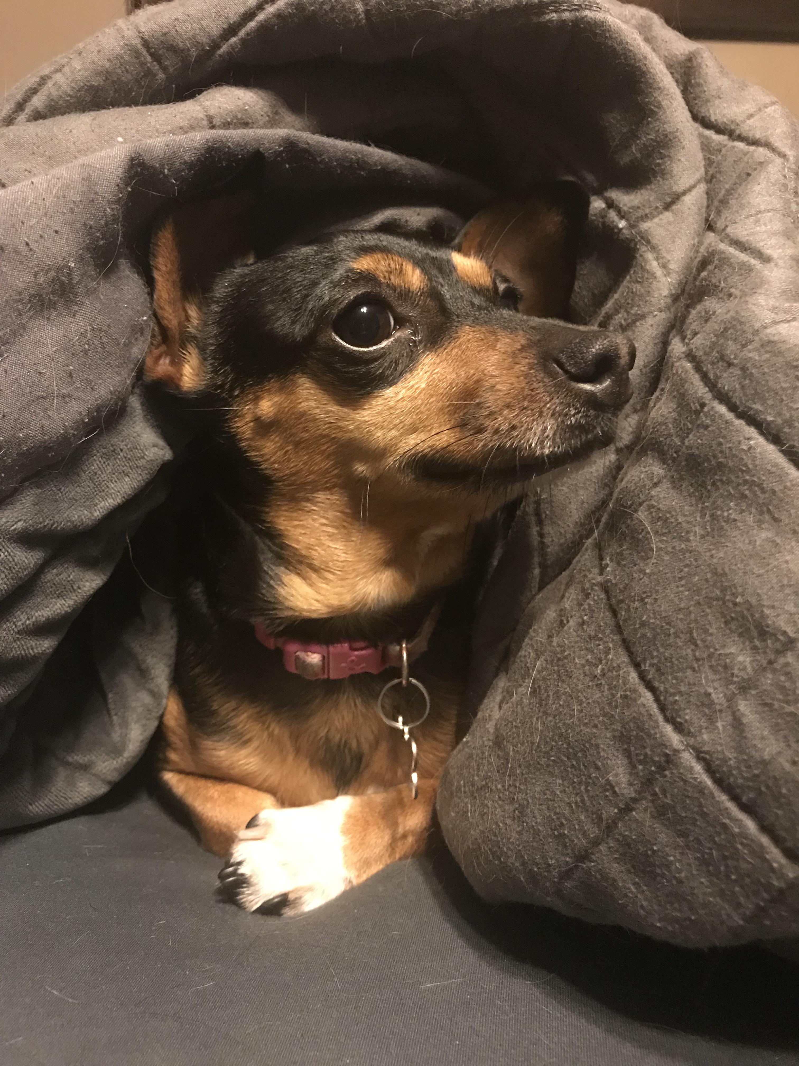 Striking a pose! | Scrolller