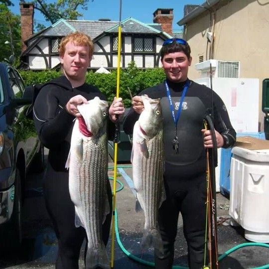 Striped bass on the spear | Scrolller