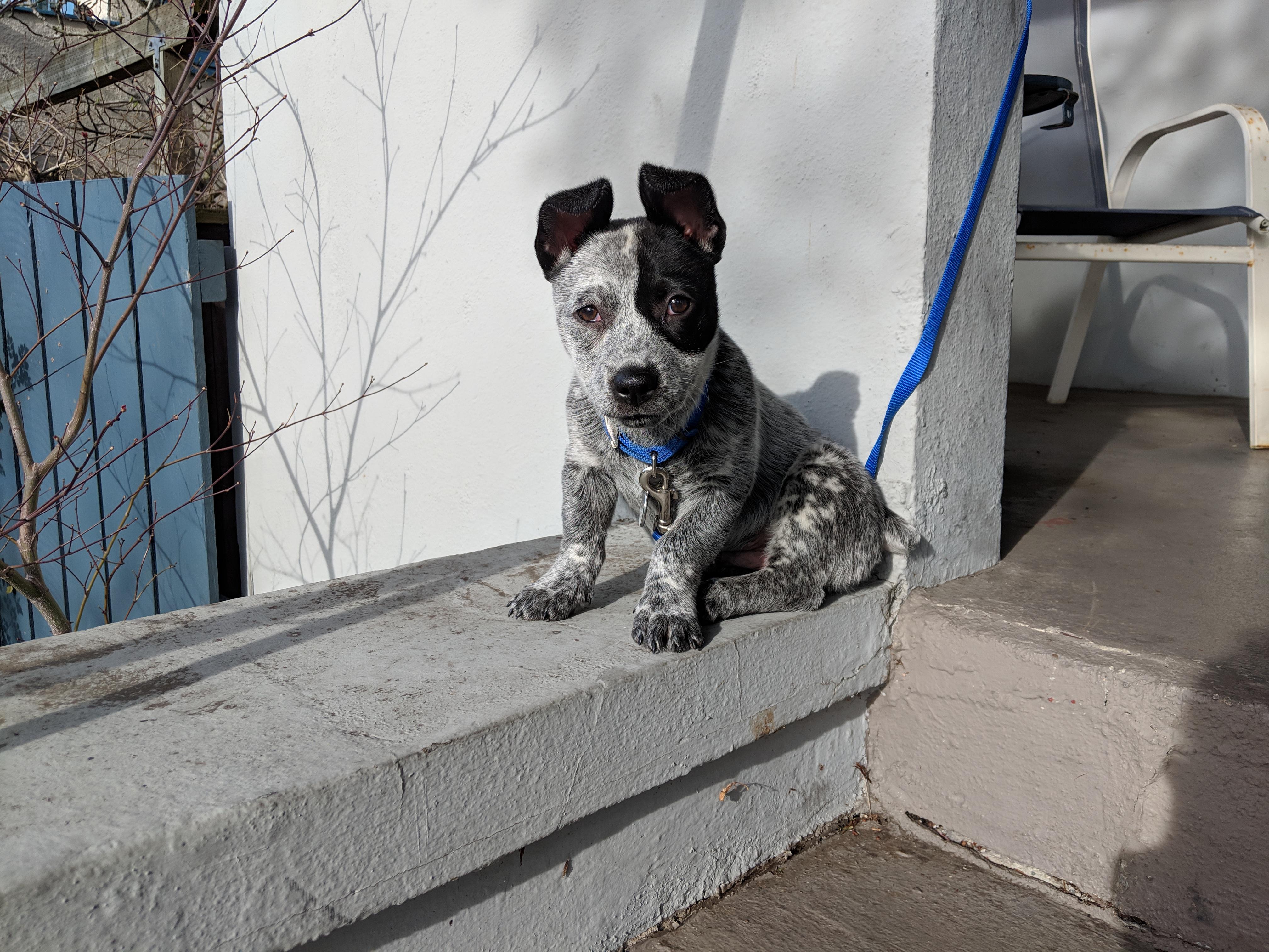 Stubby baby | Scrolller