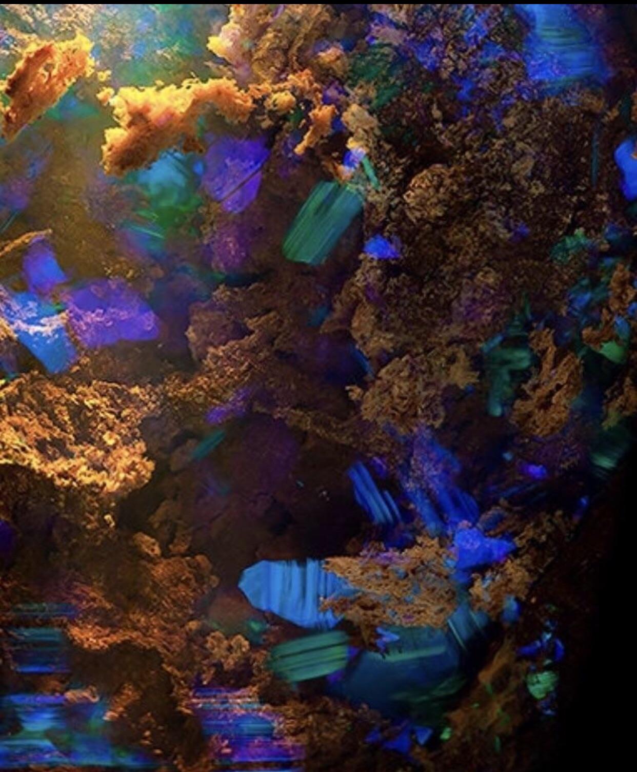 Stunning Photomicrograph of an Opal | Scrolller