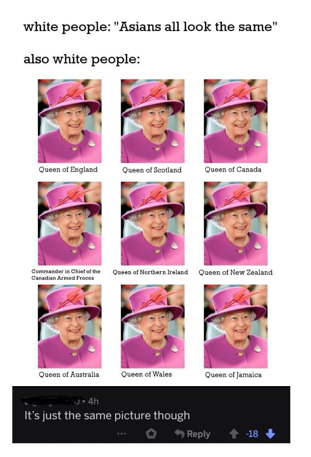 Stupidity 100 | Scrolller