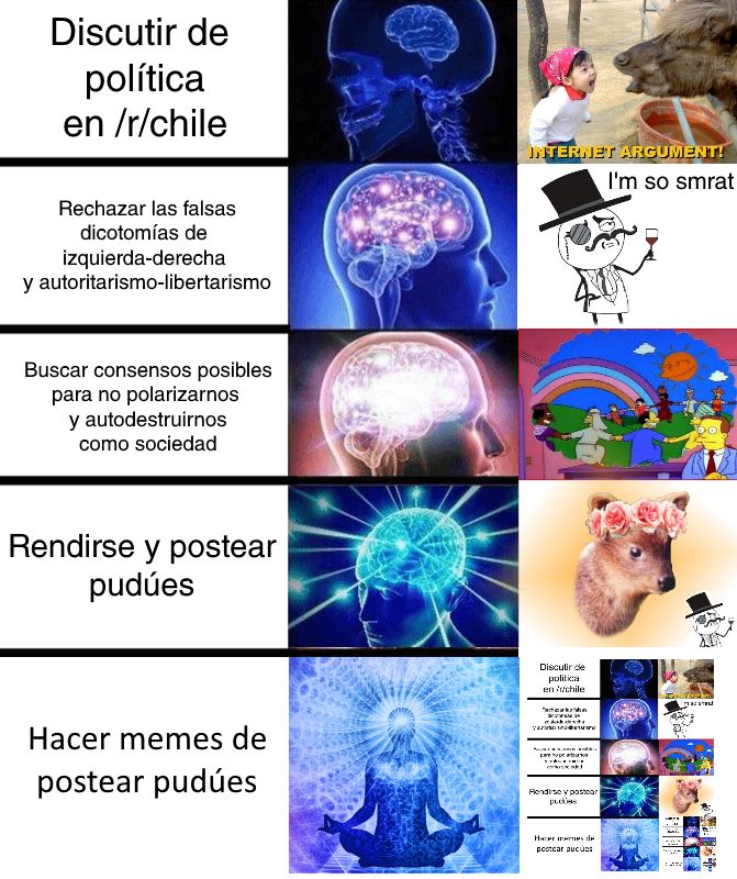 Subamos el Nivel del Debate, por Favor... | Scrolller