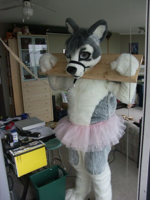 Subservient sissy husky | Scrolller
