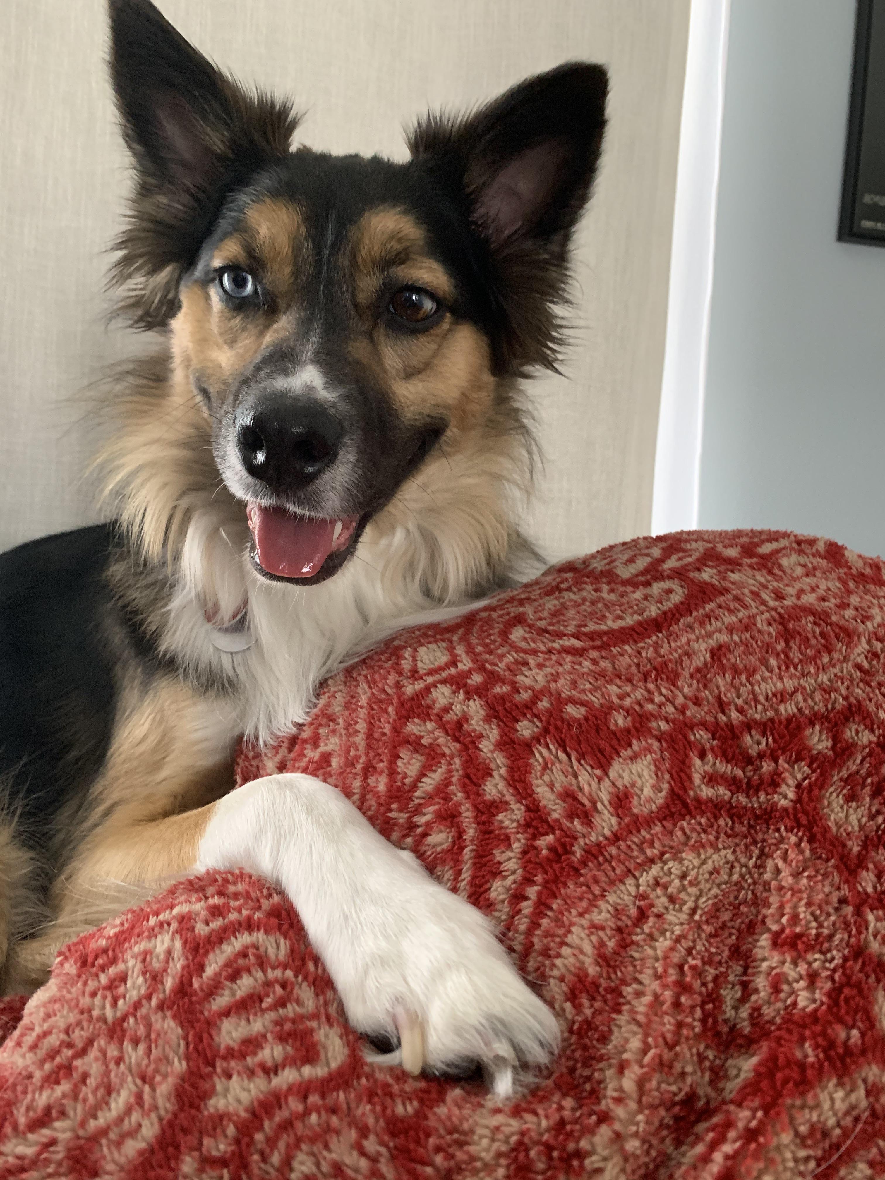 Subtlety refusing to look at the camera | Scrolller