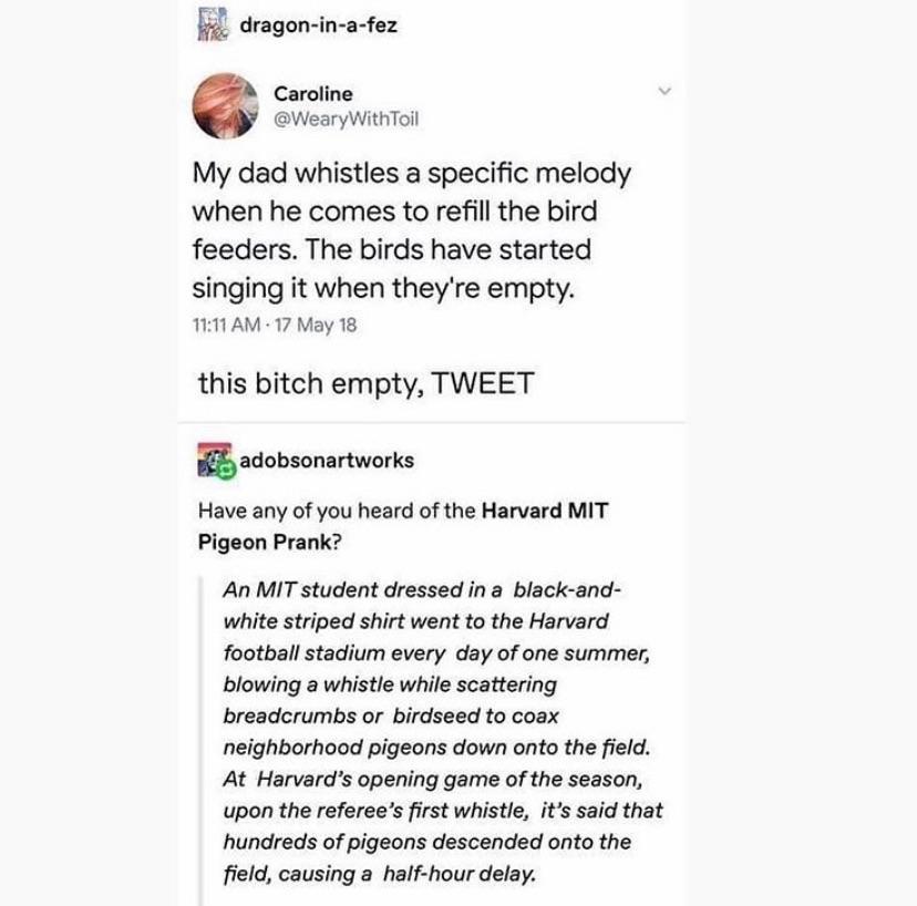 Classic Conditioning | Scrolller