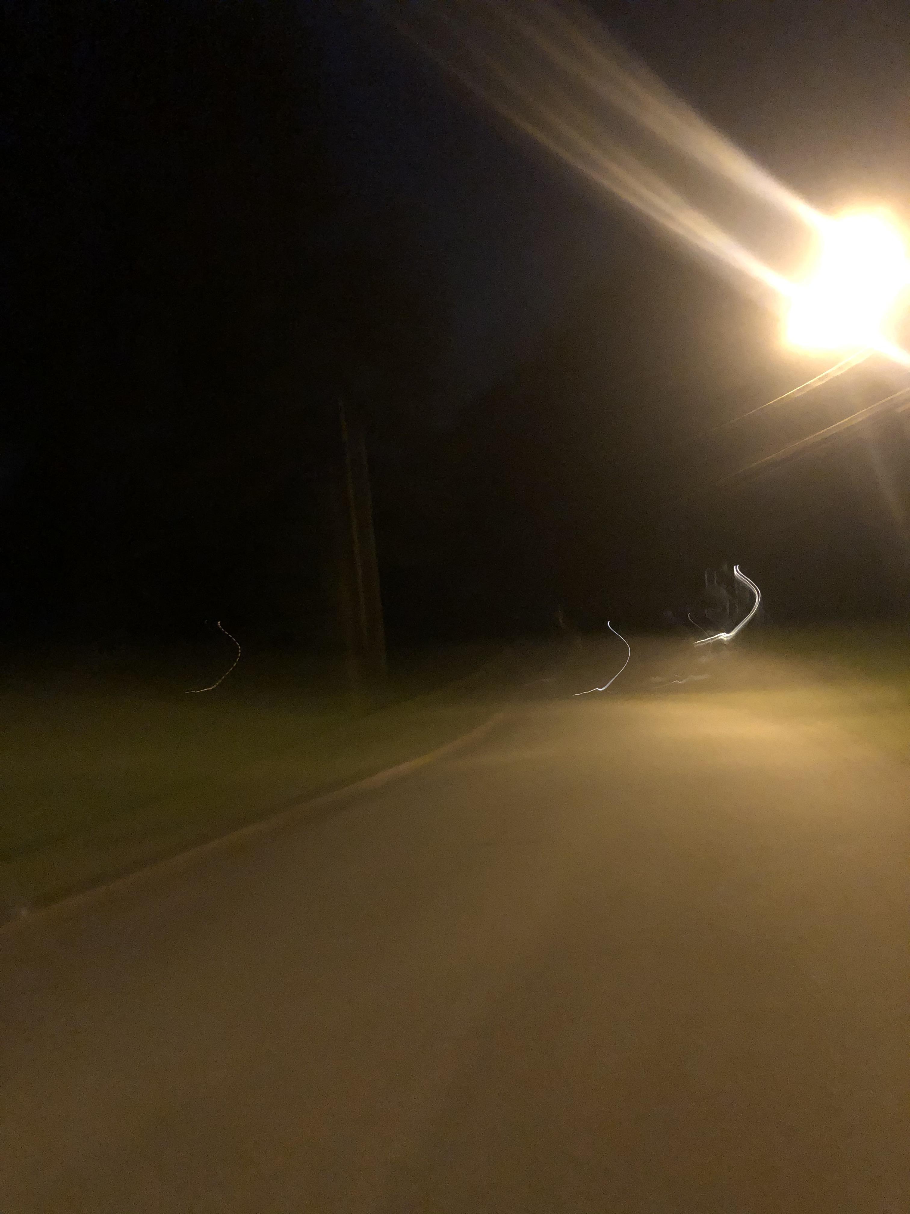 Suburbia is hell. | Scrolller