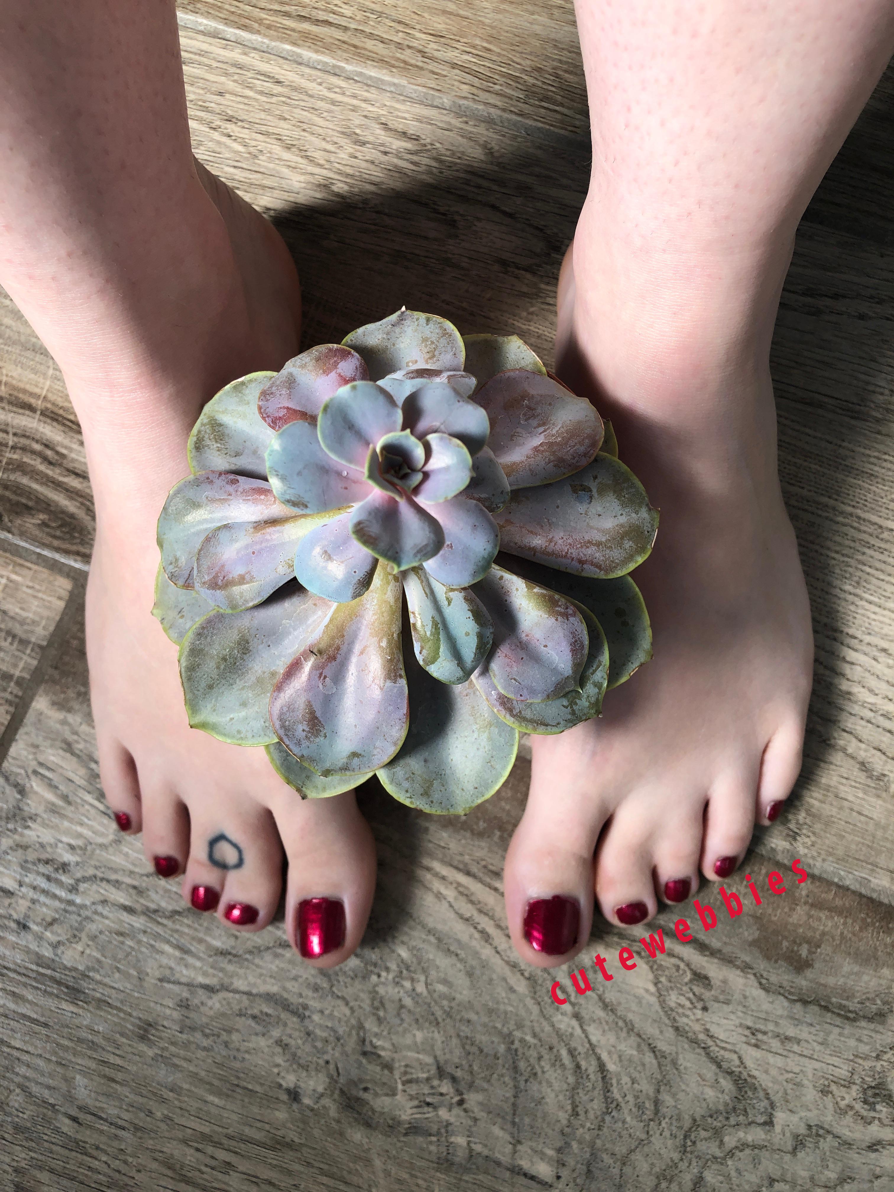 Succulent toes 😋 | Scrolller