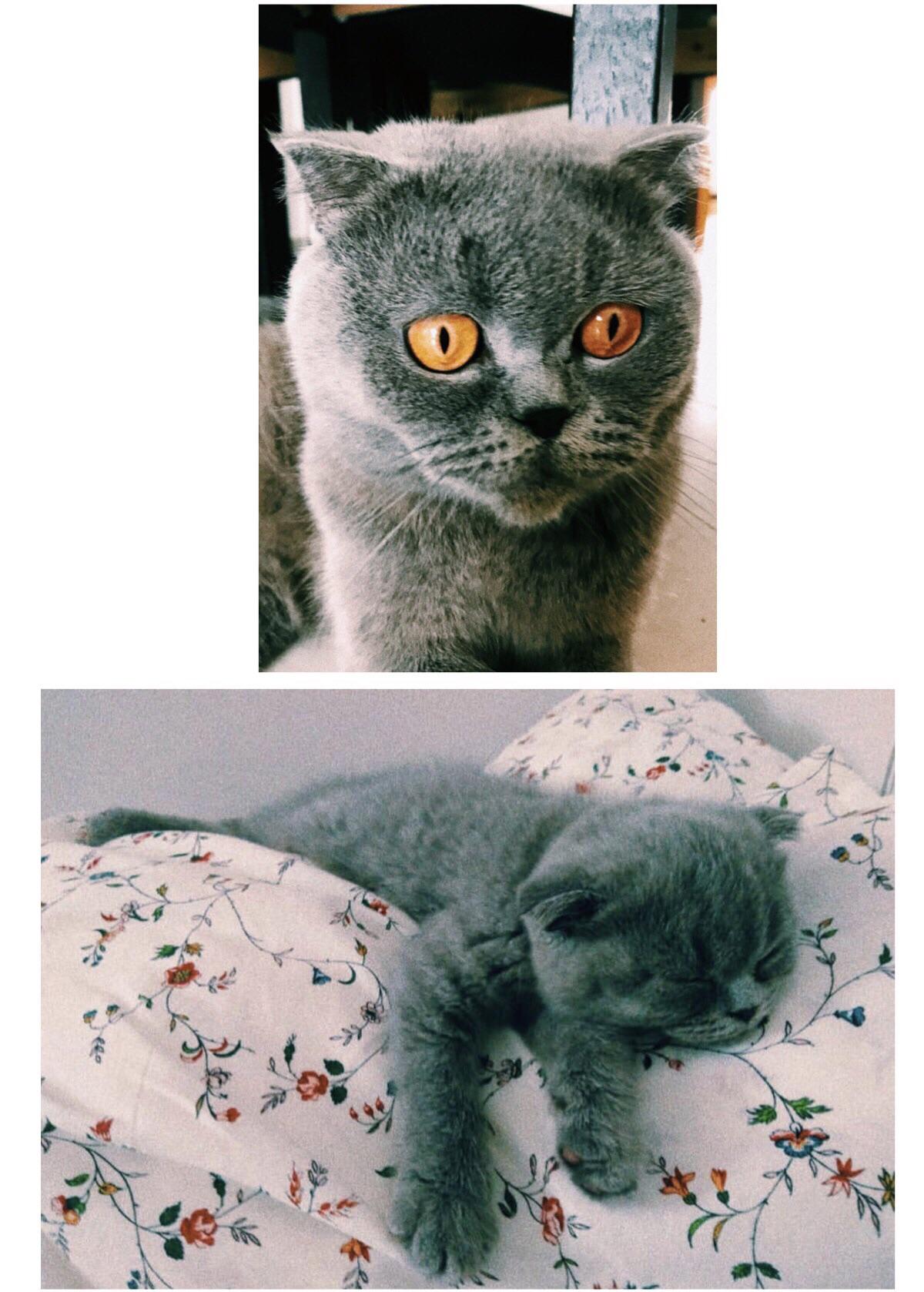 Such a big difference | Scrolller