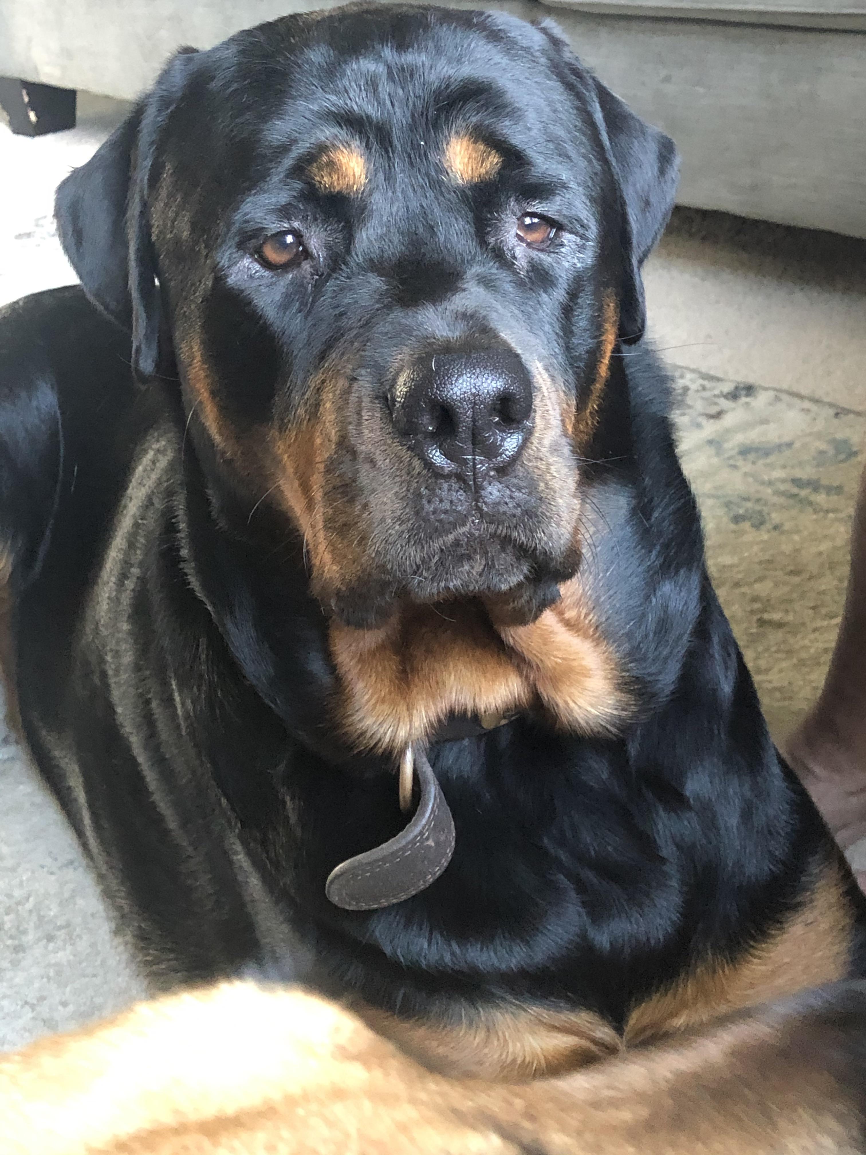 Such a handsome boy!!! | Scrolller