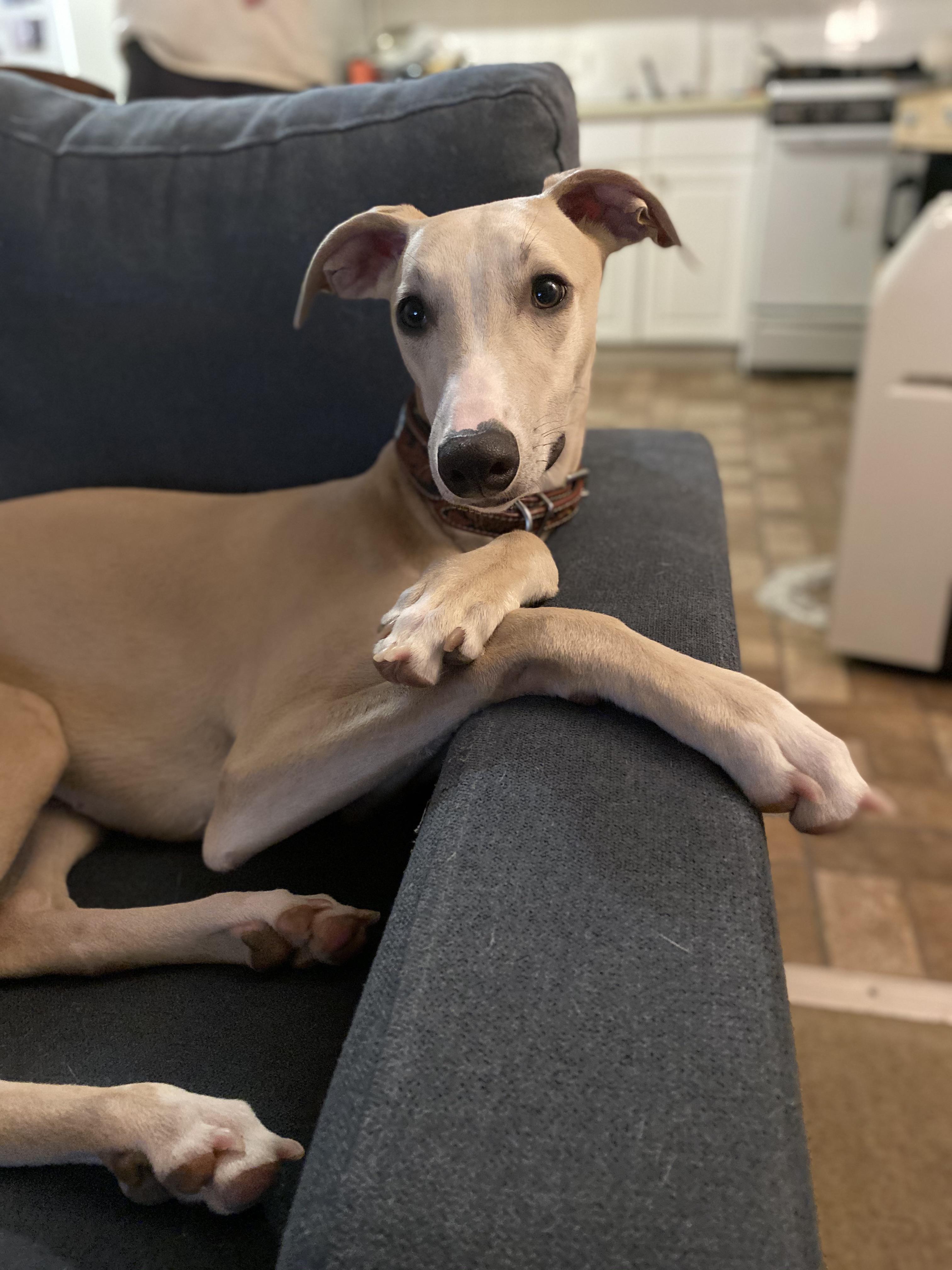 Such a handsome young man | Scrolller