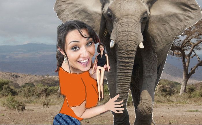 Such a nice elephant! | Scrolller