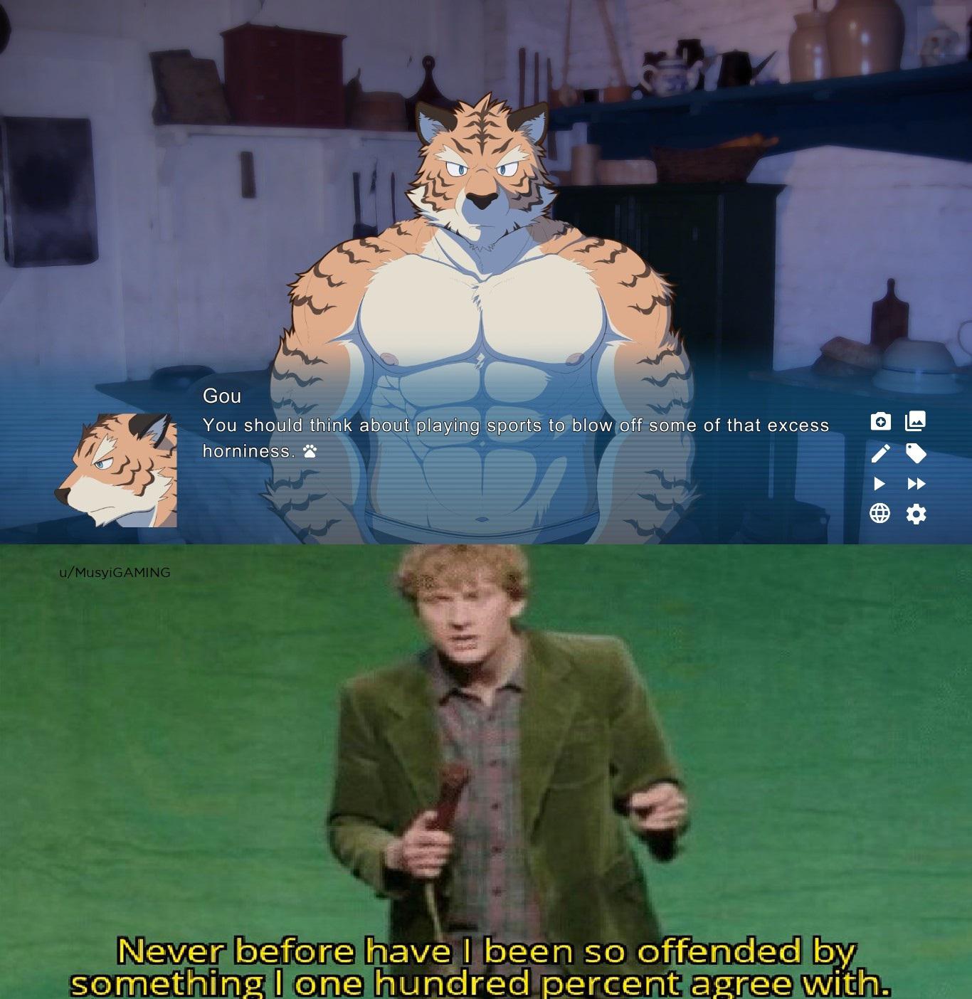 suggestion_irl | Scrolller