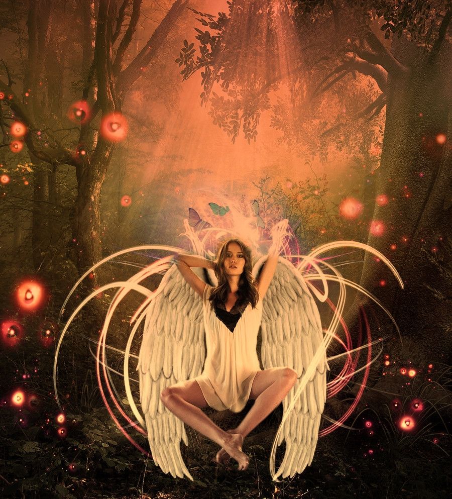 Summer Glau in Enchanted Forest (via Summer Glau Wiki) | Scrolller