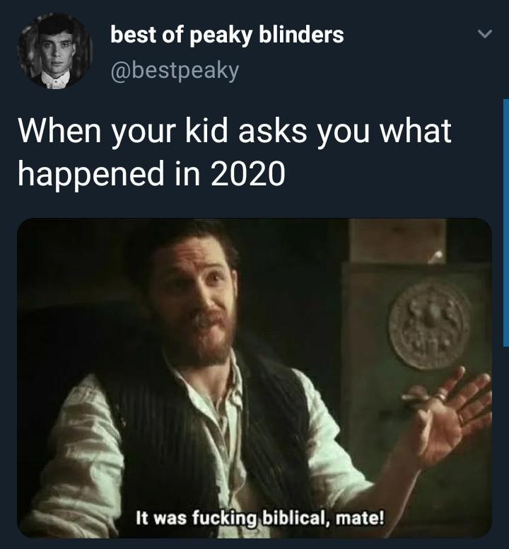 Sums up 2020 perfectly | Scrolller