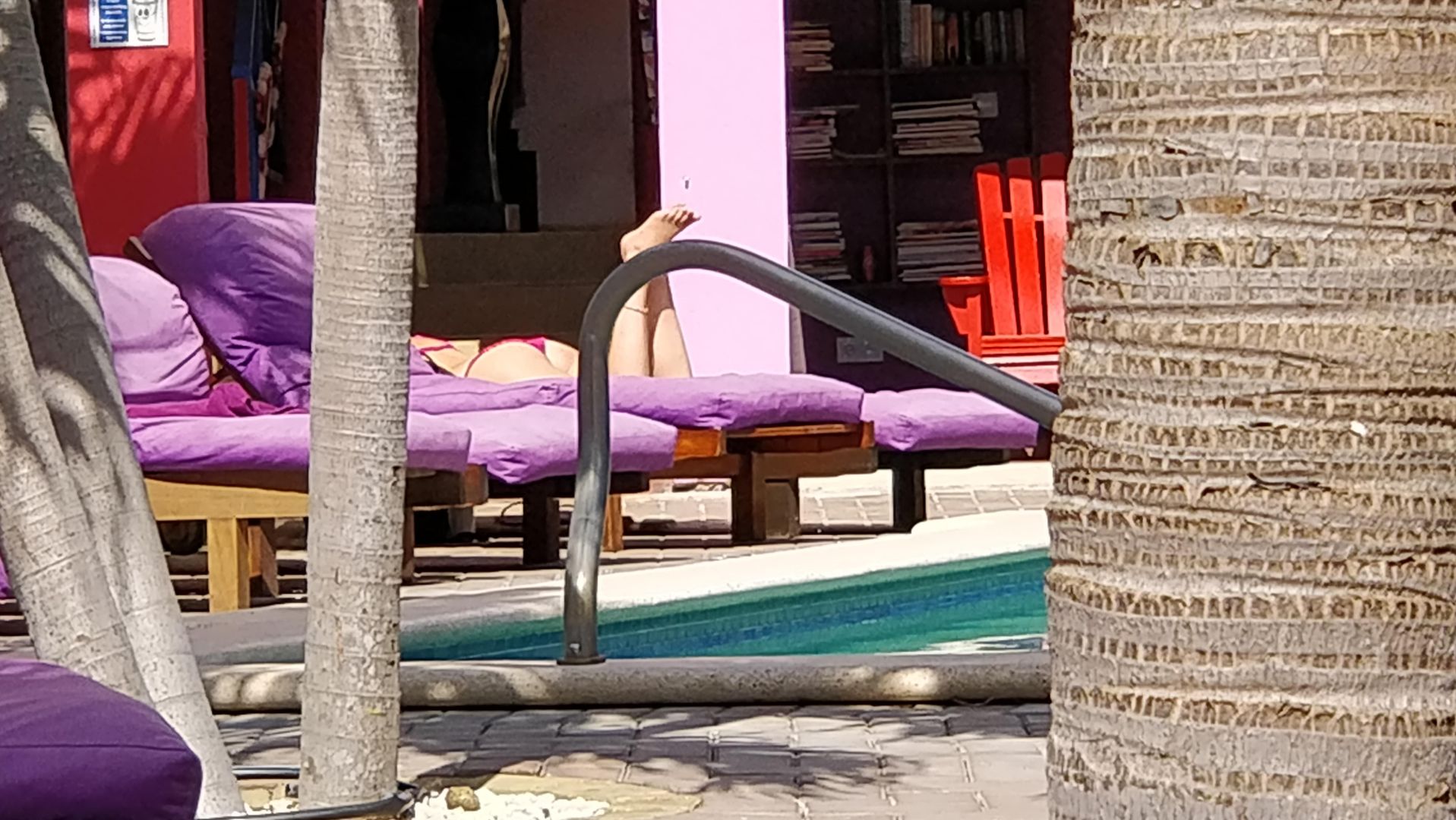 Sunbathing | Scrolller