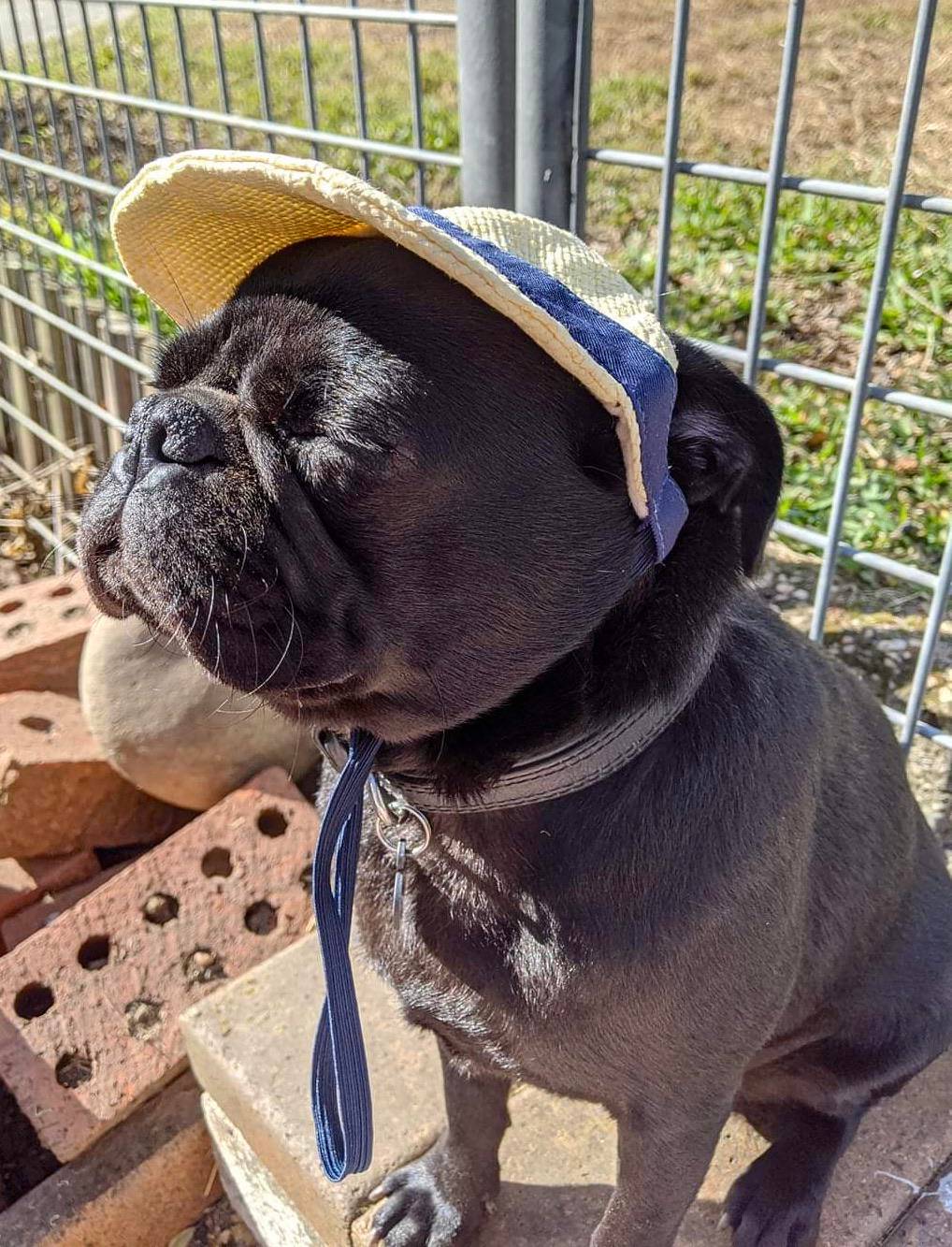 Sunbathing | Scrolller