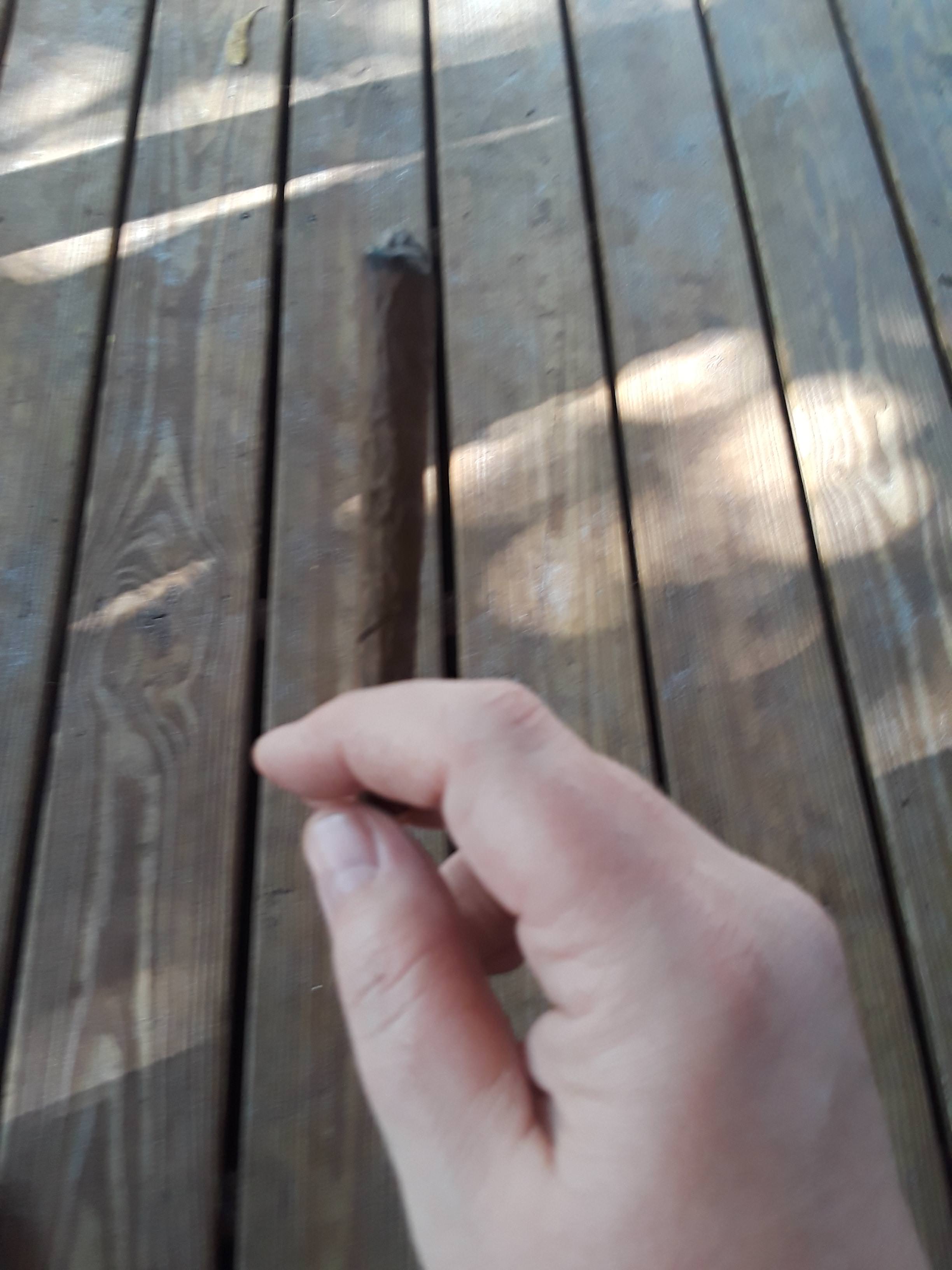 Sunday Blunt Day! | Scrolller