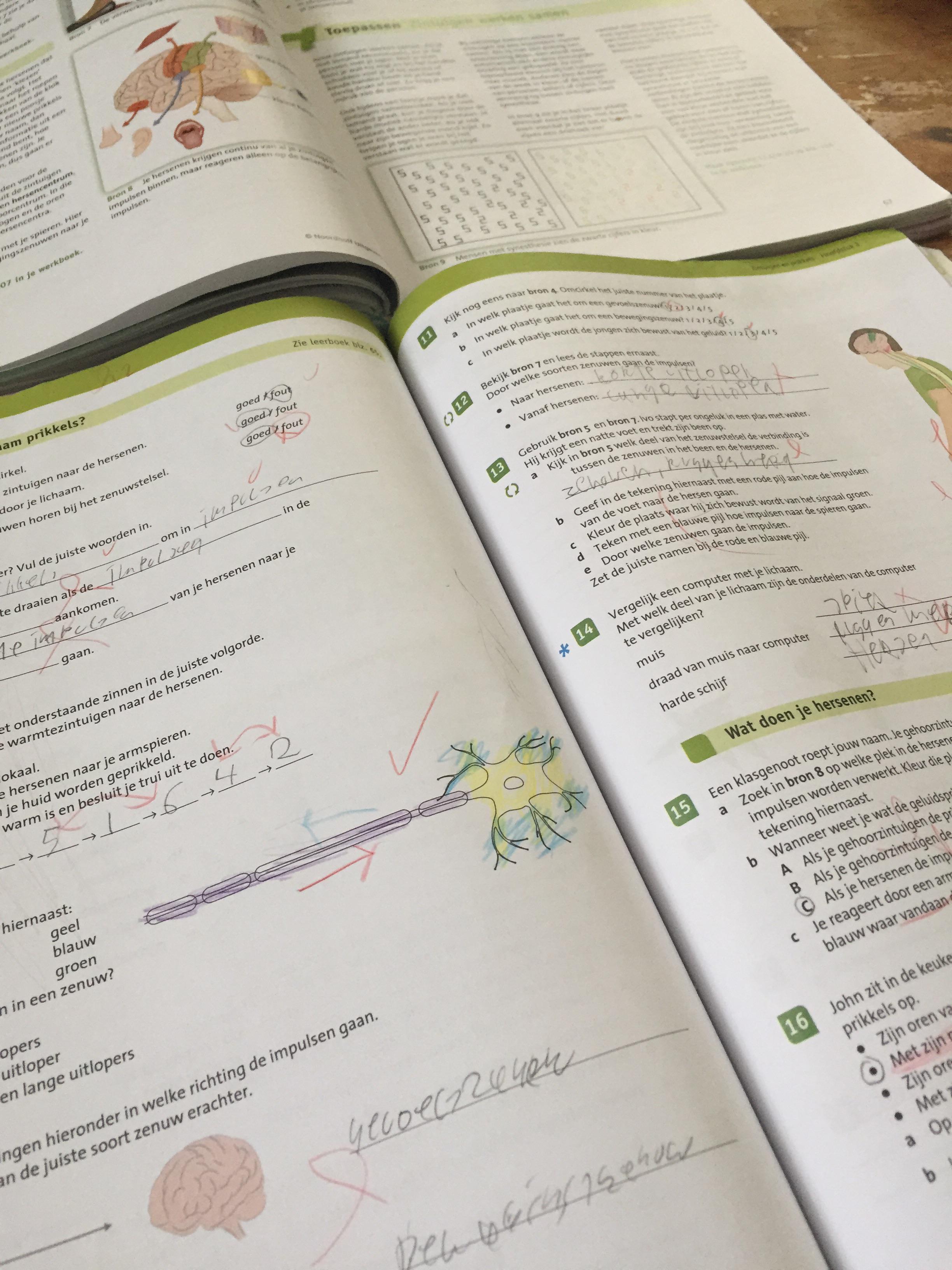 Sunday, yes im new | Scrolller