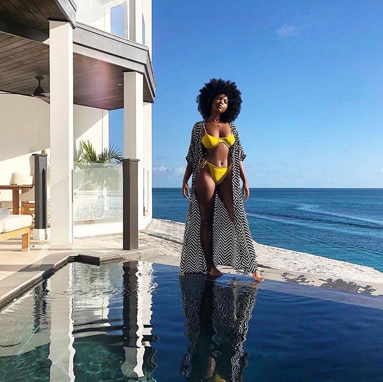 Sunflower | Scrolller