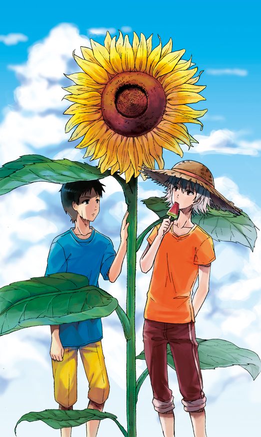 Sunflower | Scrolller