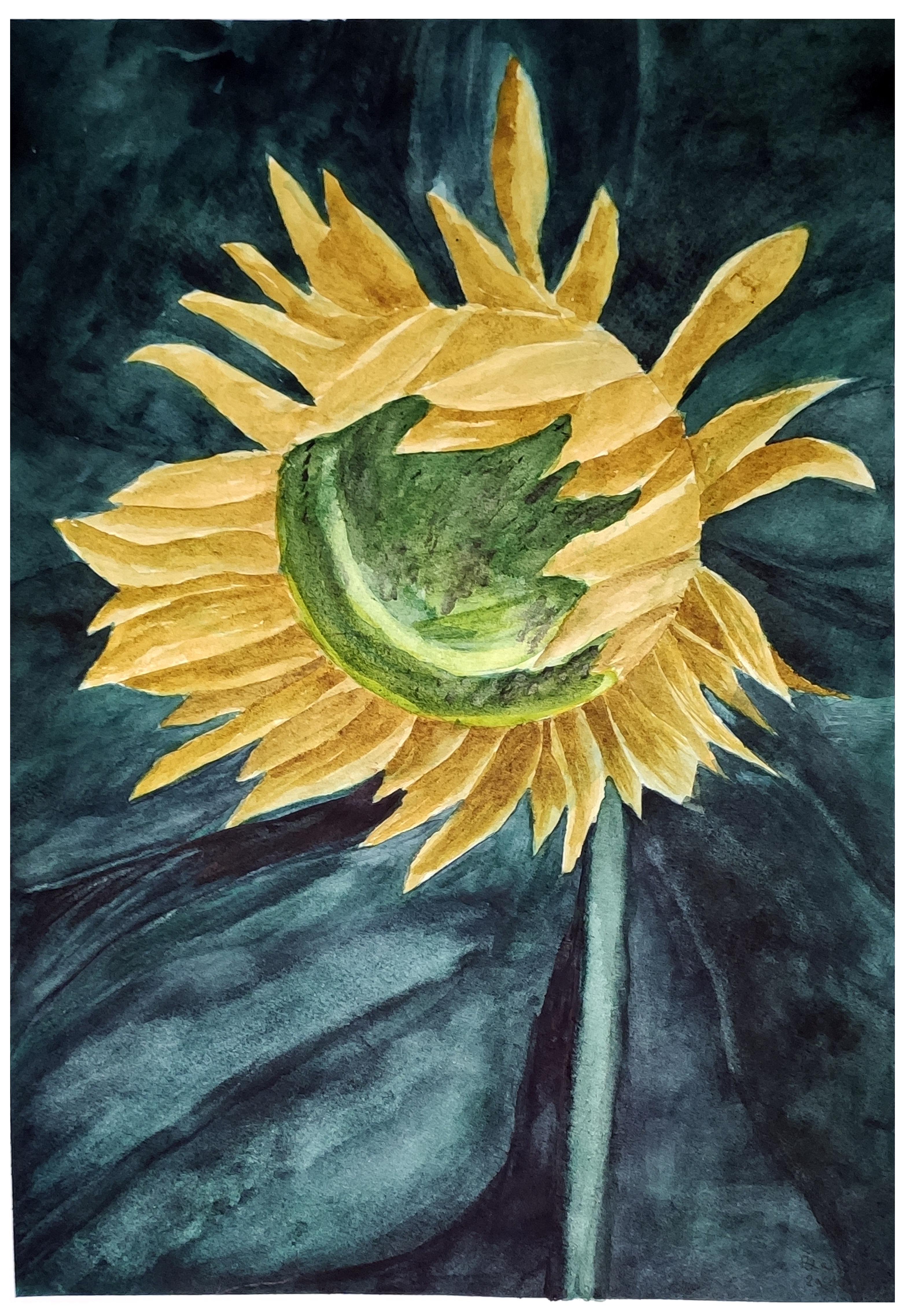 Sunflower, me, watercolor, 2020 | Scrolller