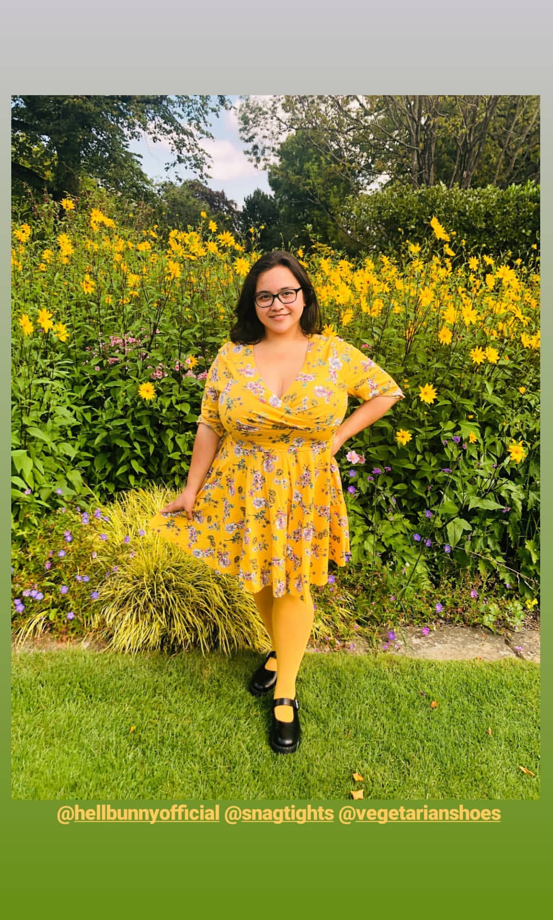 Sunflowers | Scrolller