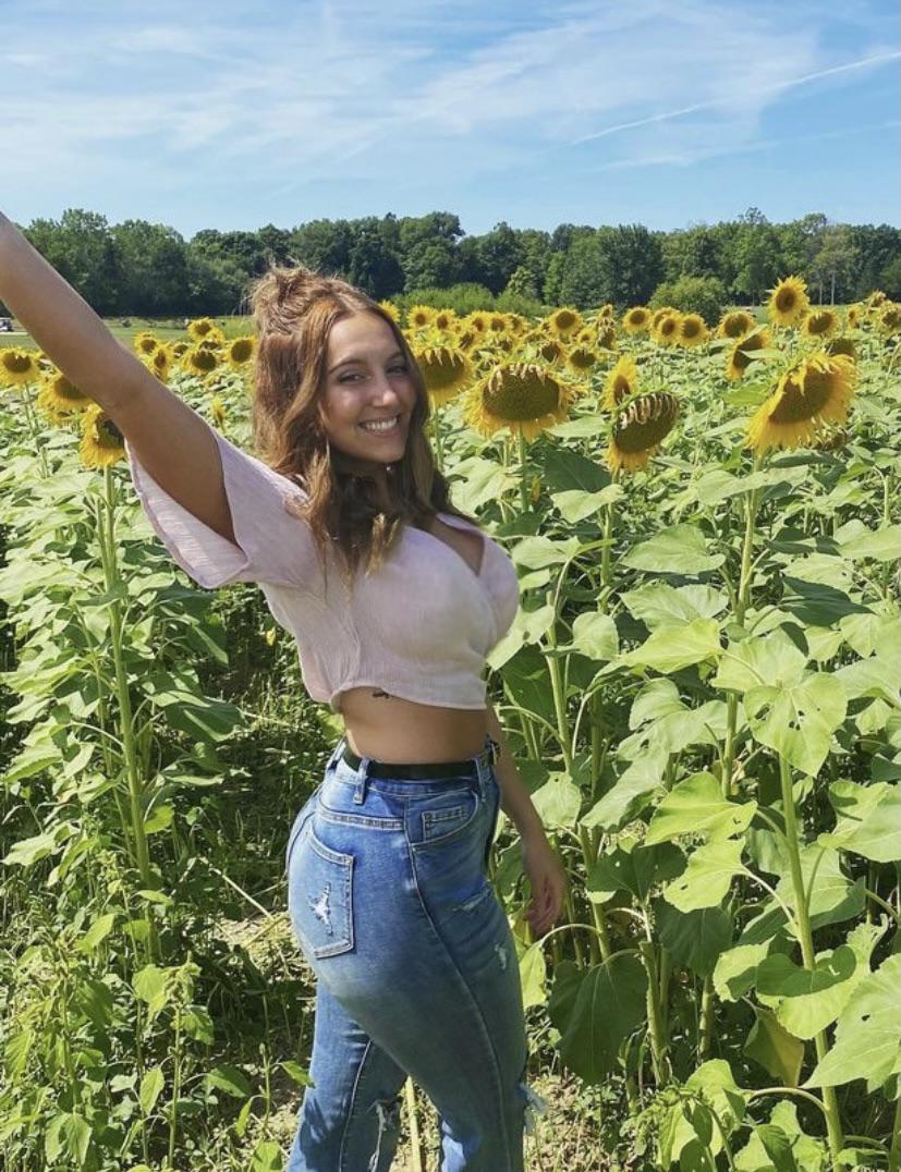 Sunflowers | Scrolller