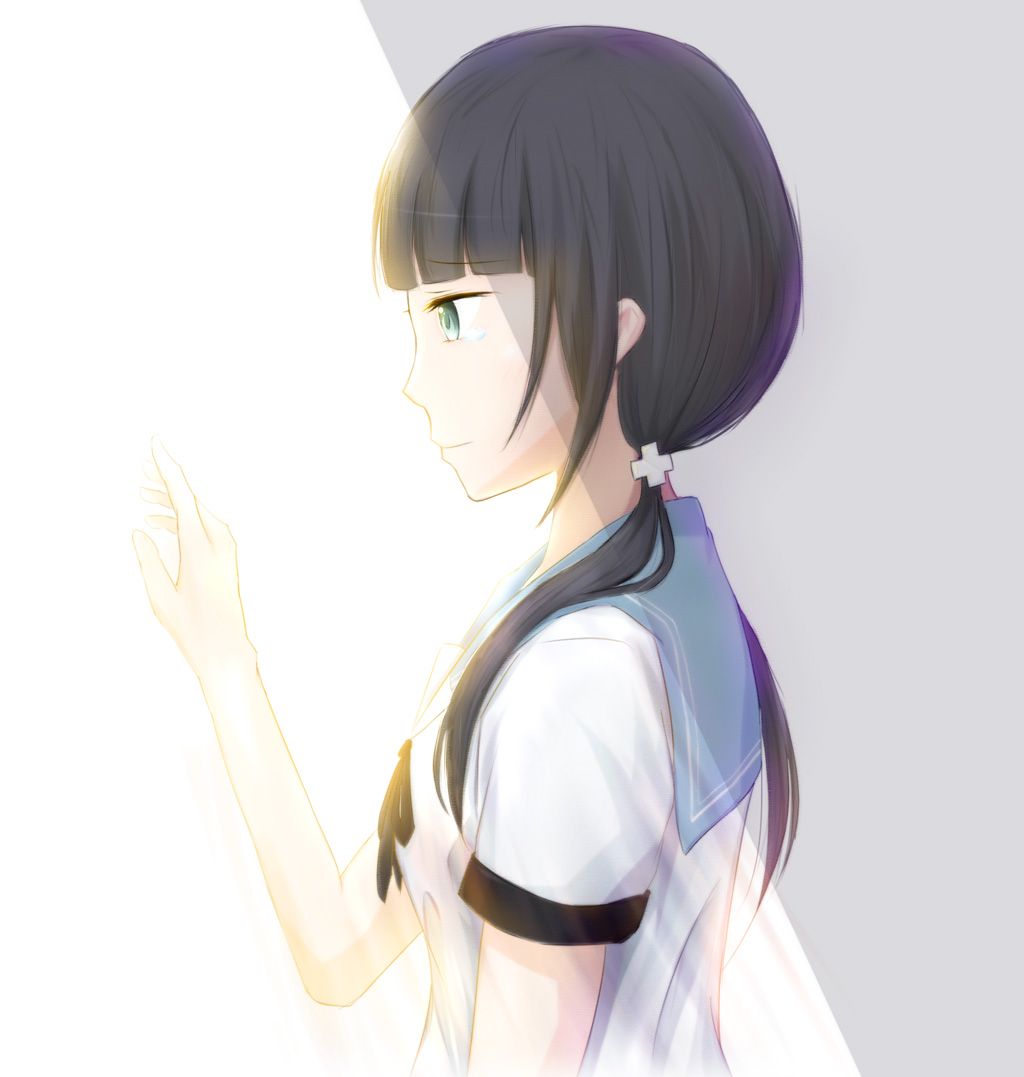 Sunlight | Scrolller