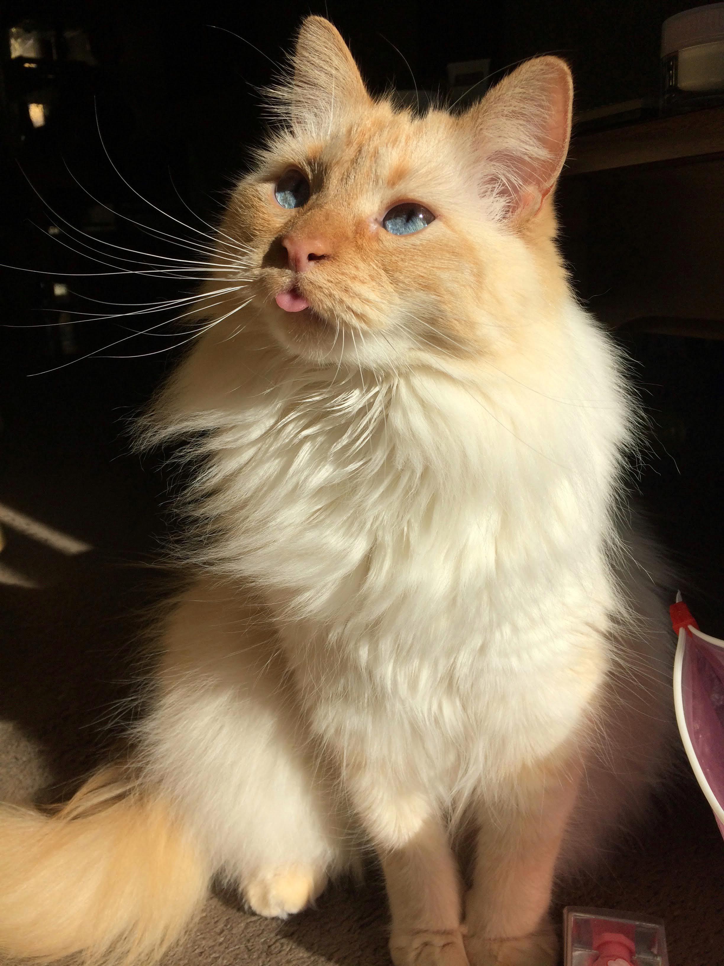 Soaking up the limelight | Scrolller