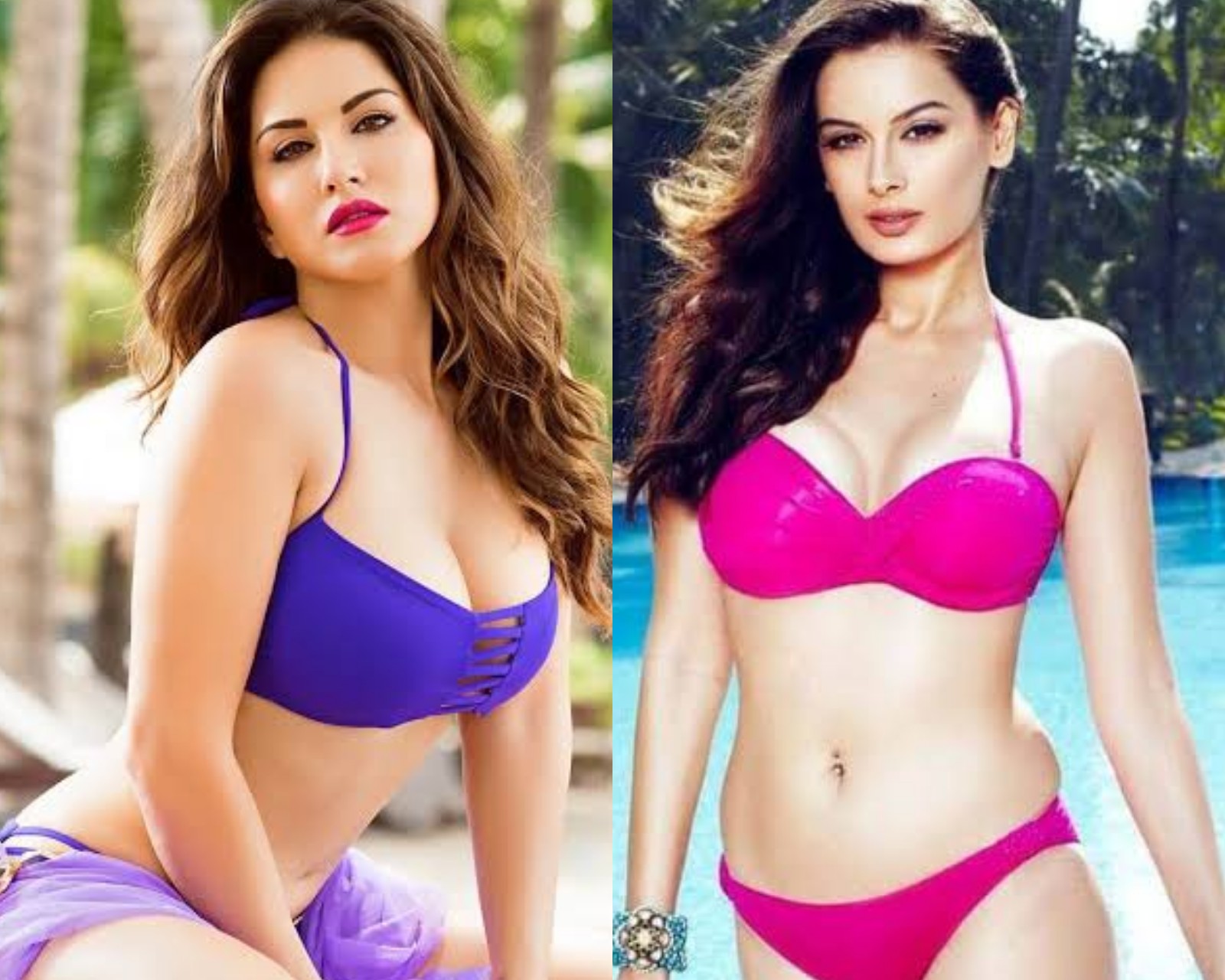 Sunny Leone vs Evelyn Sharma | Scrolller