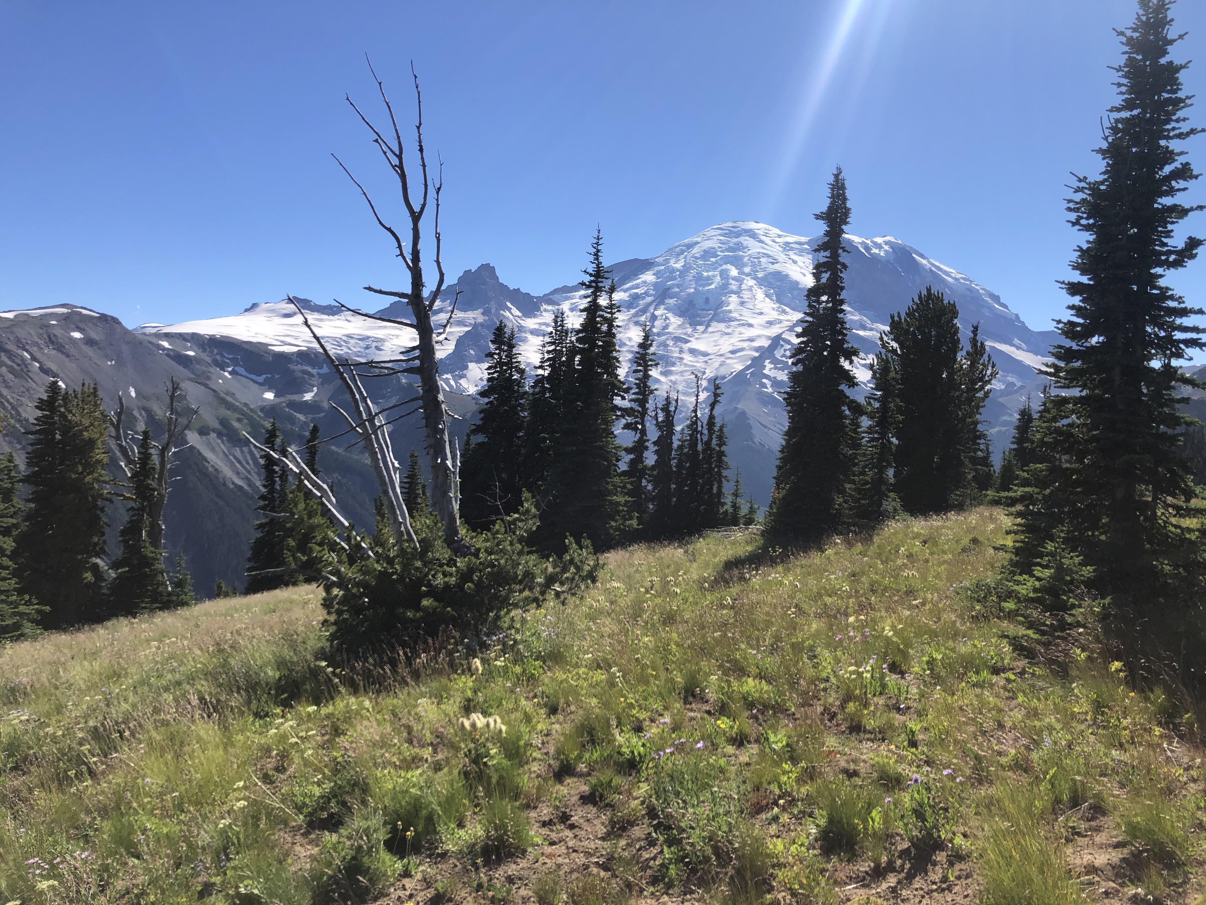 Sunrise @ Mt. Rainier | Scrolller