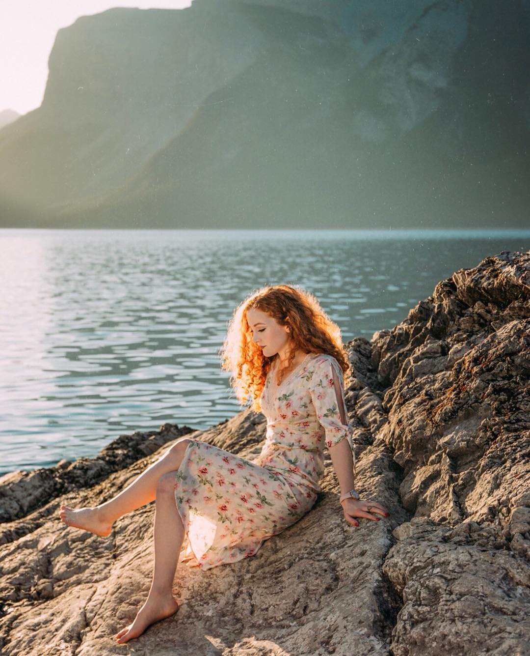 sunshine ginger | Scrolller