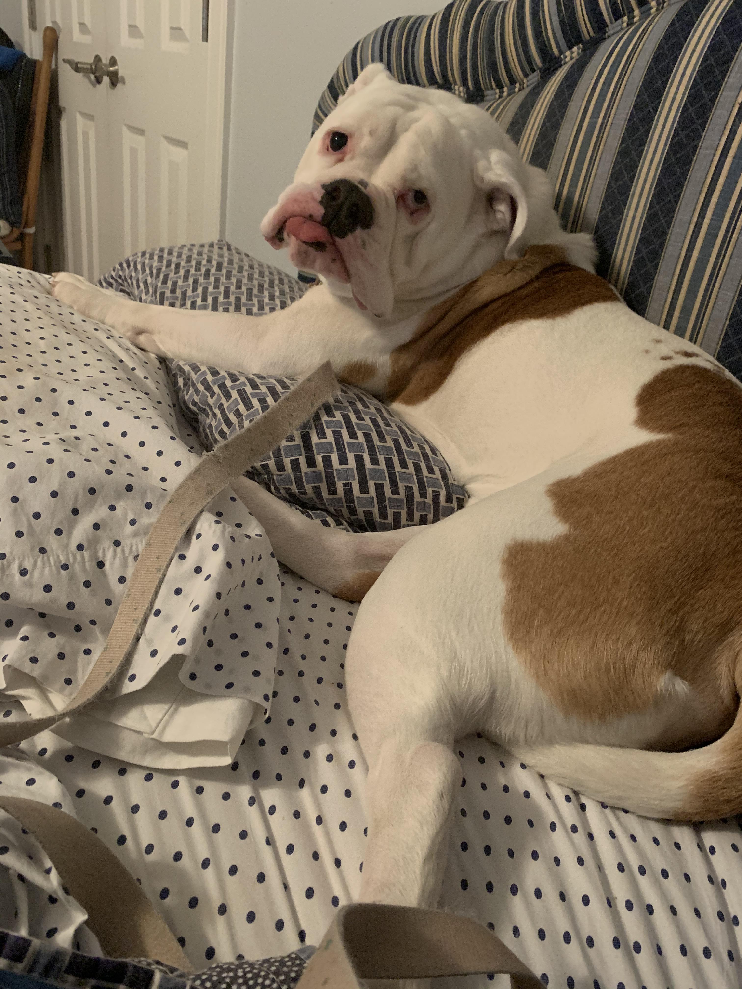 Super bloop | Scrolller