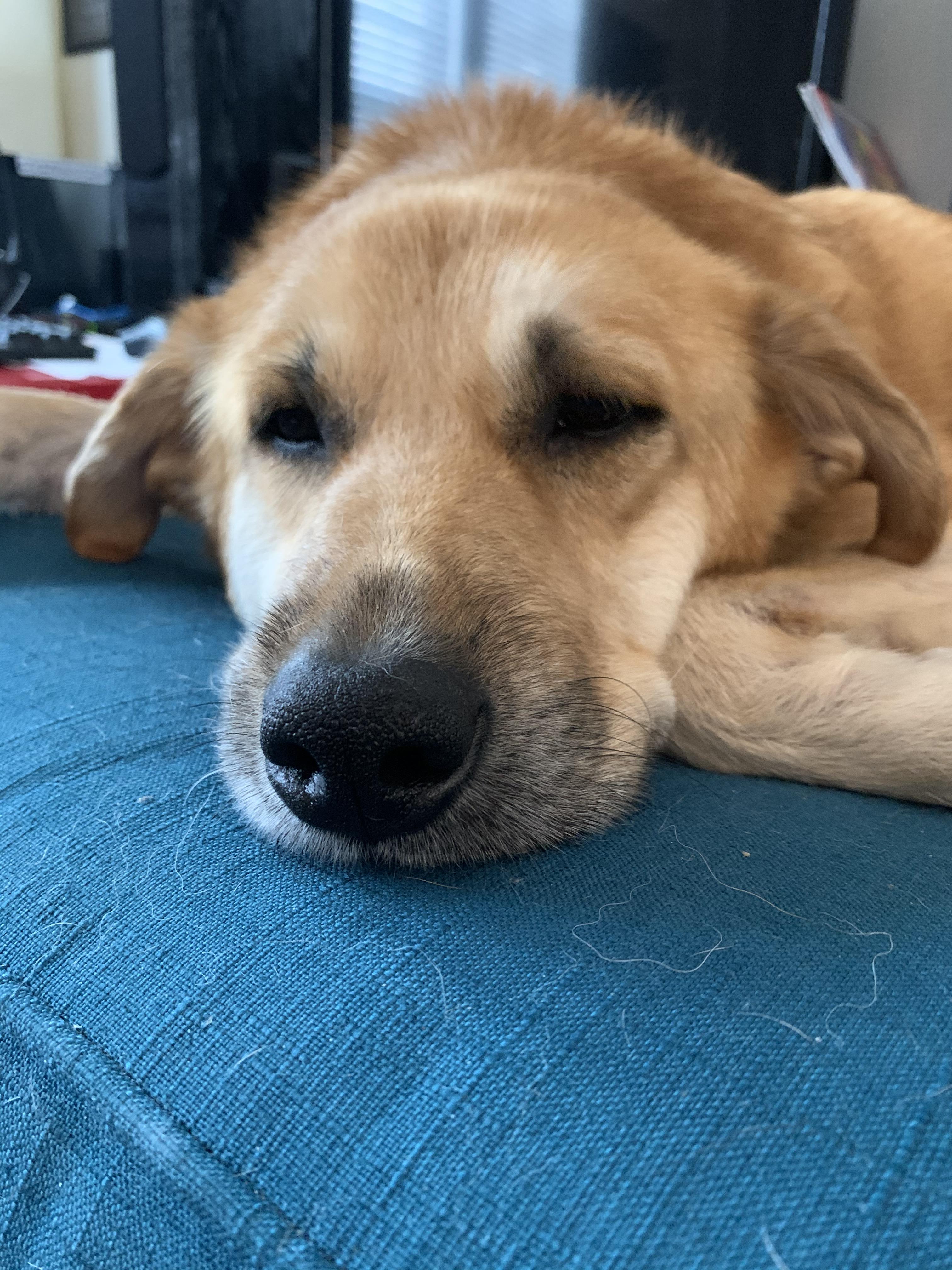 Super M E L T Y | Scrolller