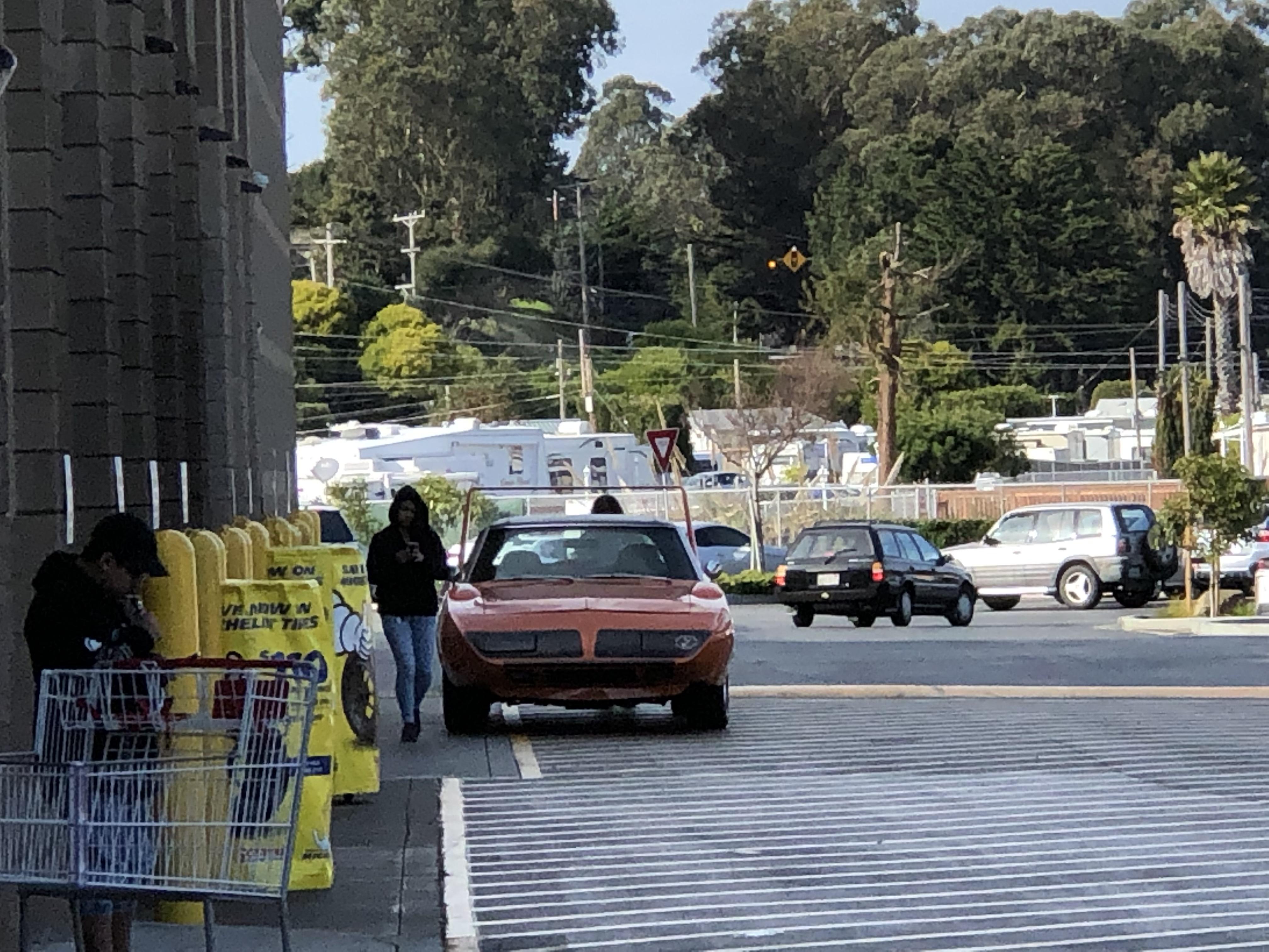 Superbird in the wild! | Scrolller