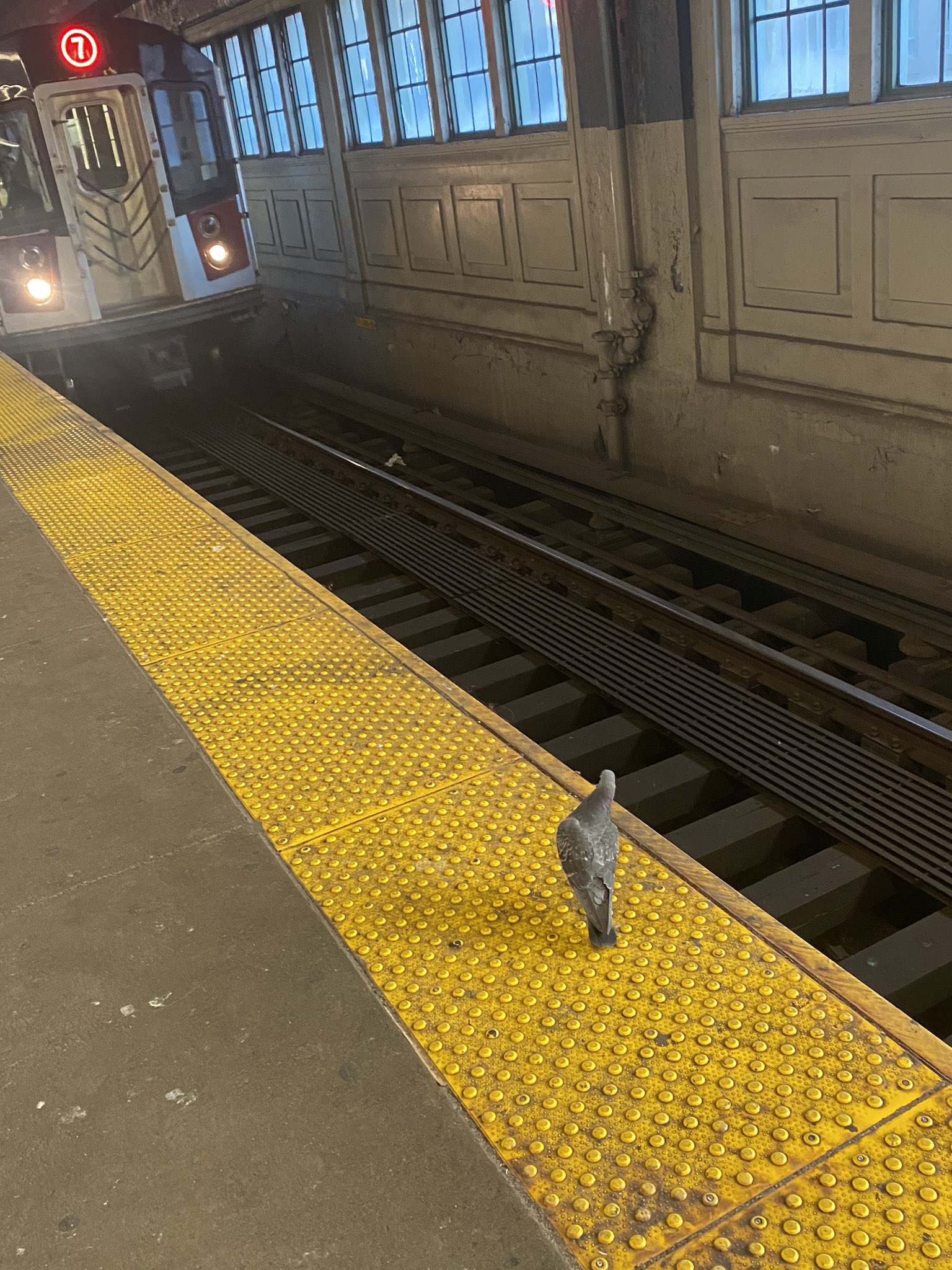 Support our essential workers | Scrolller