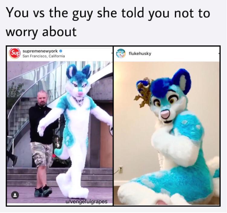 Supreme = furry??? | Scrolller