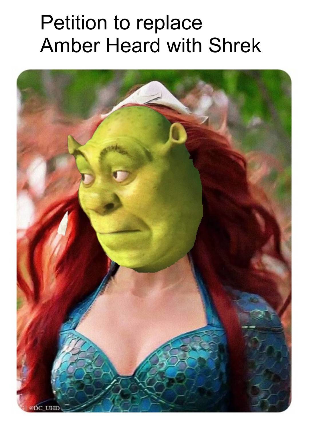 surely this is what we want to see | Scrolller