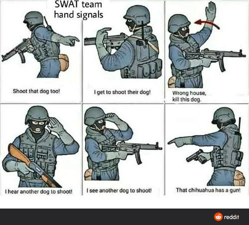 SWAT Hand Signals | Scrolller