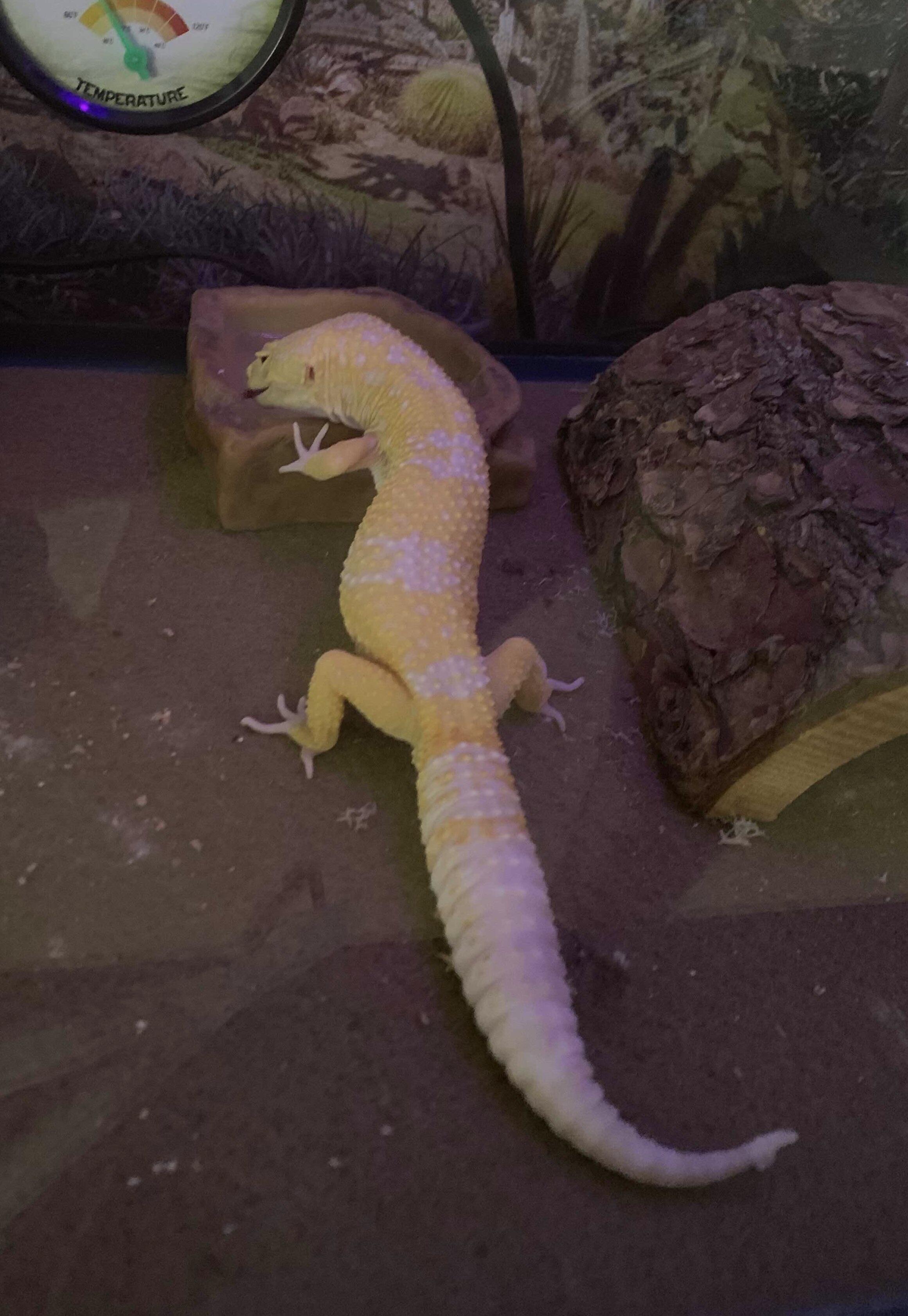 Sweet big boi | Scrolller