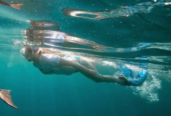 Swimming | Scrolller