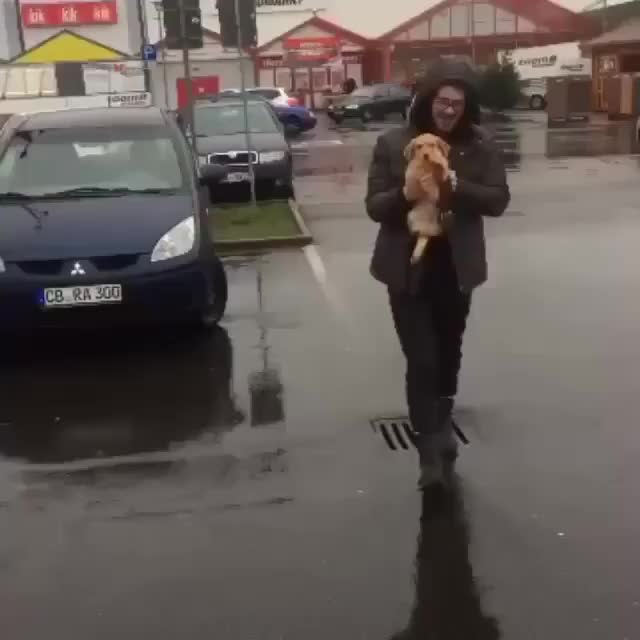 Swimming in the rain (X-post from r/aww) | Scrolller