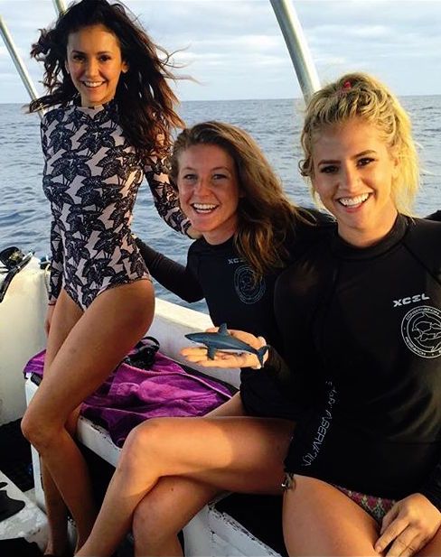 Swimming with sharks in Hawaii | Scrolller