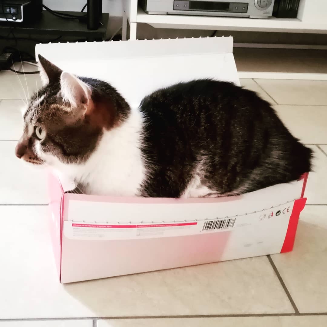 Syd fits perfectly | Scrolller