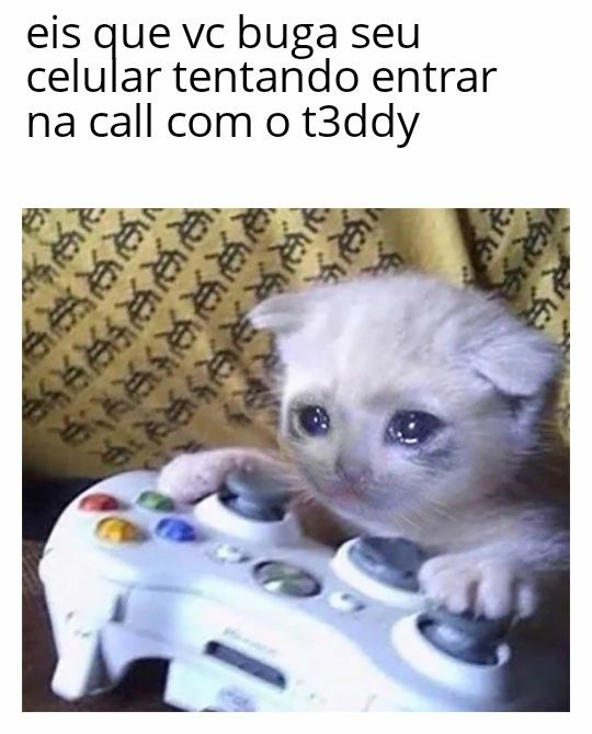 tô chorando até agora | Scrolller