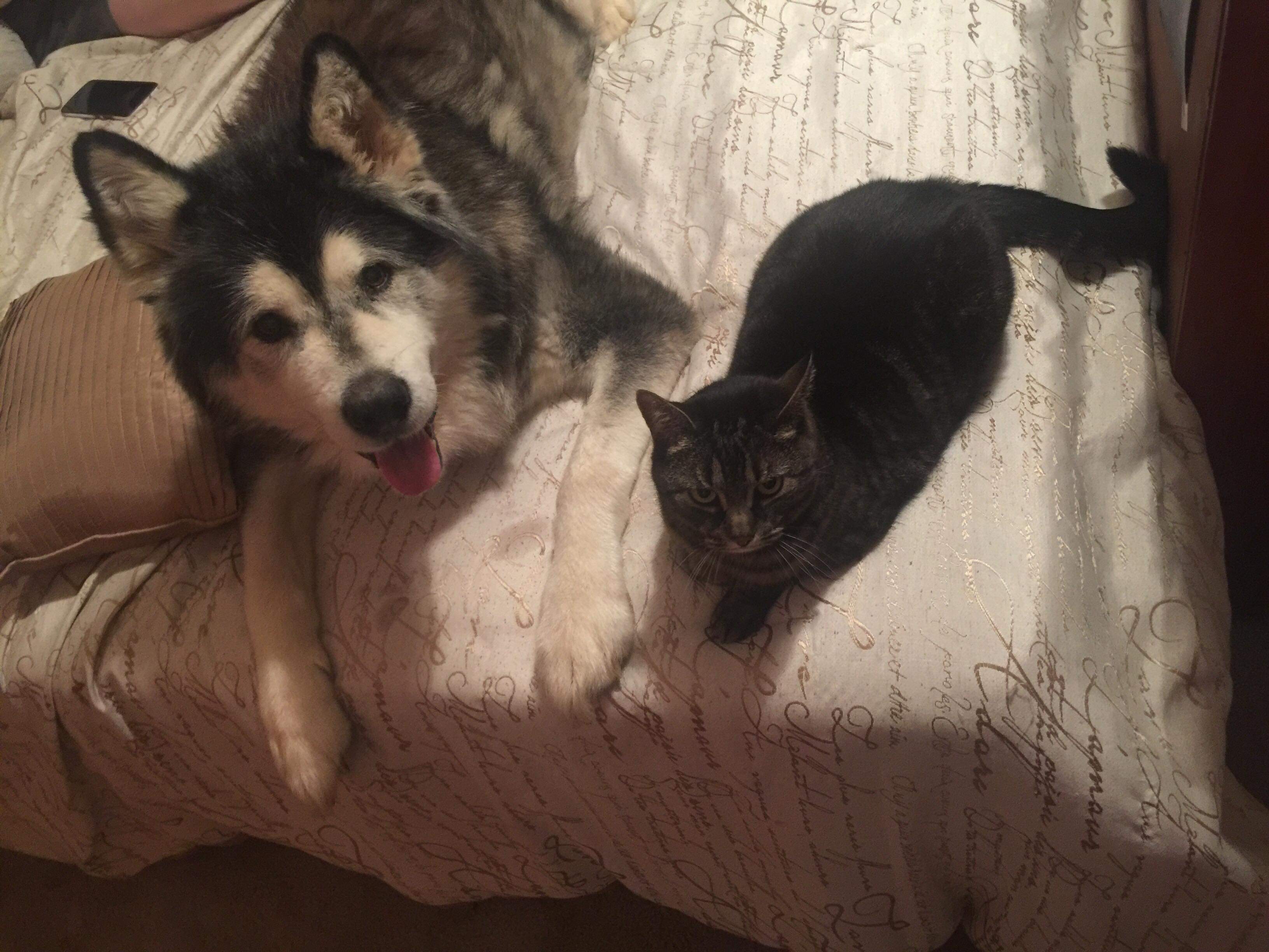 Takaani Likes Hanging Out With Katara Scrolller