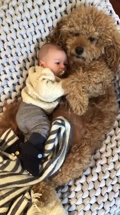 Take a nap in a fluffy bed | Scrolller