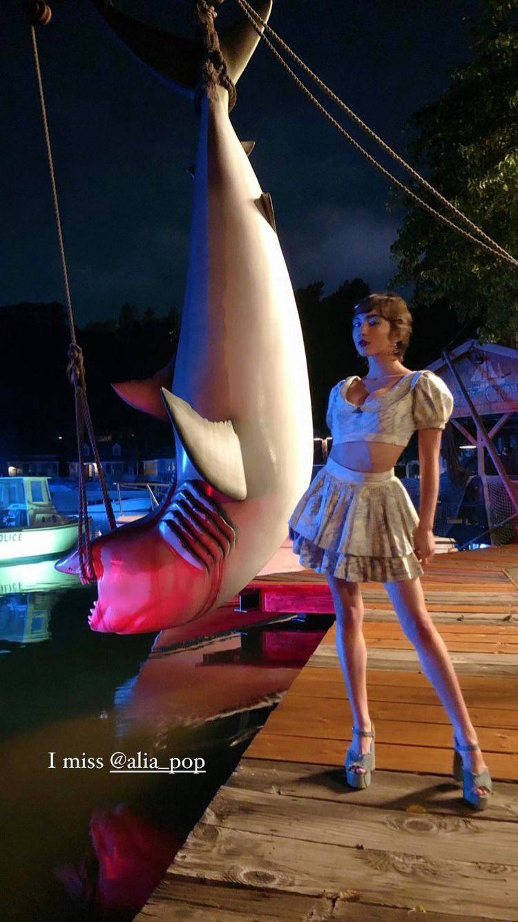 Take a picture, and make it snappy | Scrolller