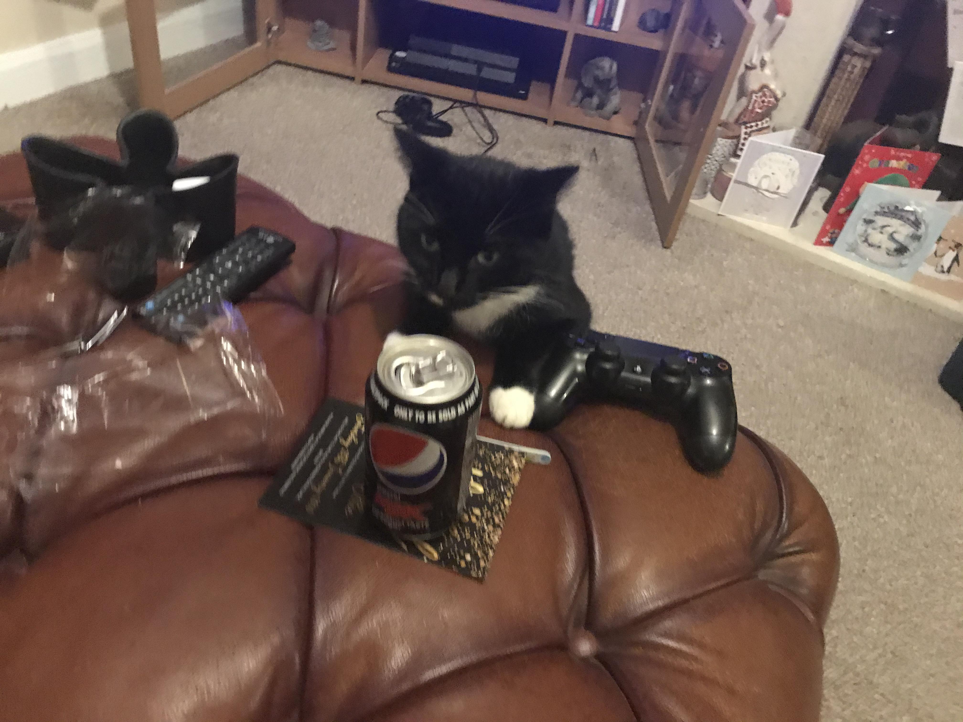 Taking a sip | Scrolller