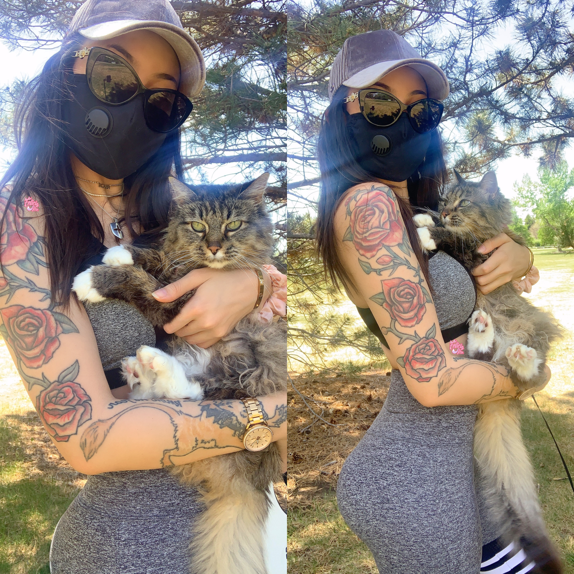 Discover more like TopNotchBooty: Taking my kitty for a walk [OC][F] and Related Content | Scrolller